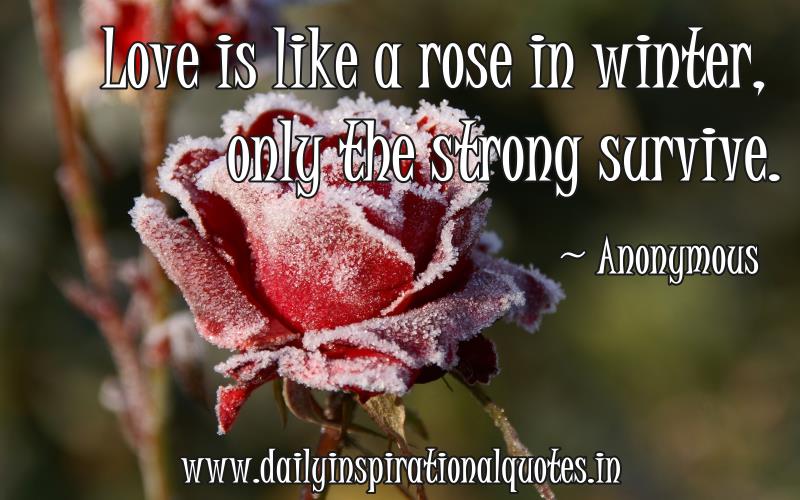 Winter Survival Quotes. QuotesGram