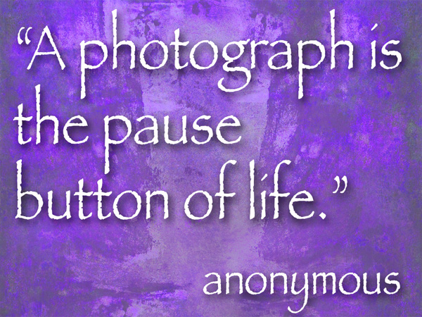 Pause A Moment Quotes. QuotesGram