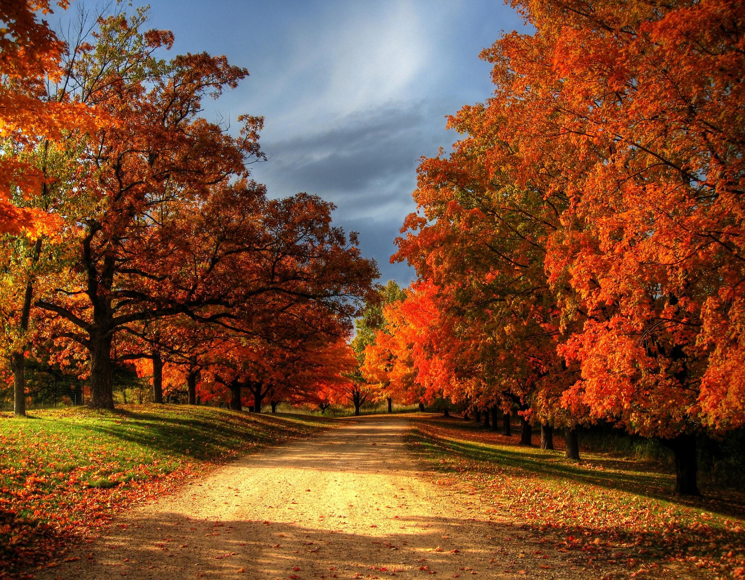 Leaves Changing Color Quotes QuotesGram