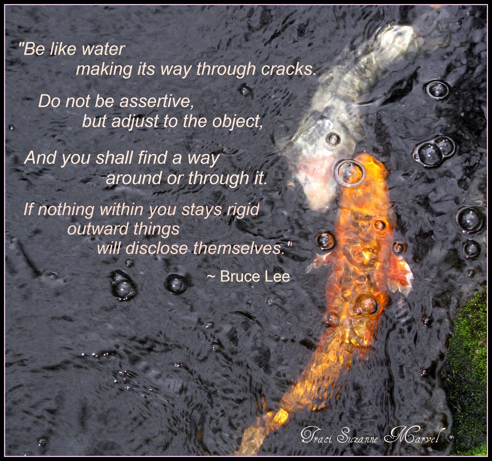 Famous Bruce Lee Quotes Water QuotesGram Famous Bruce Lee Quotes Water QuotesGram