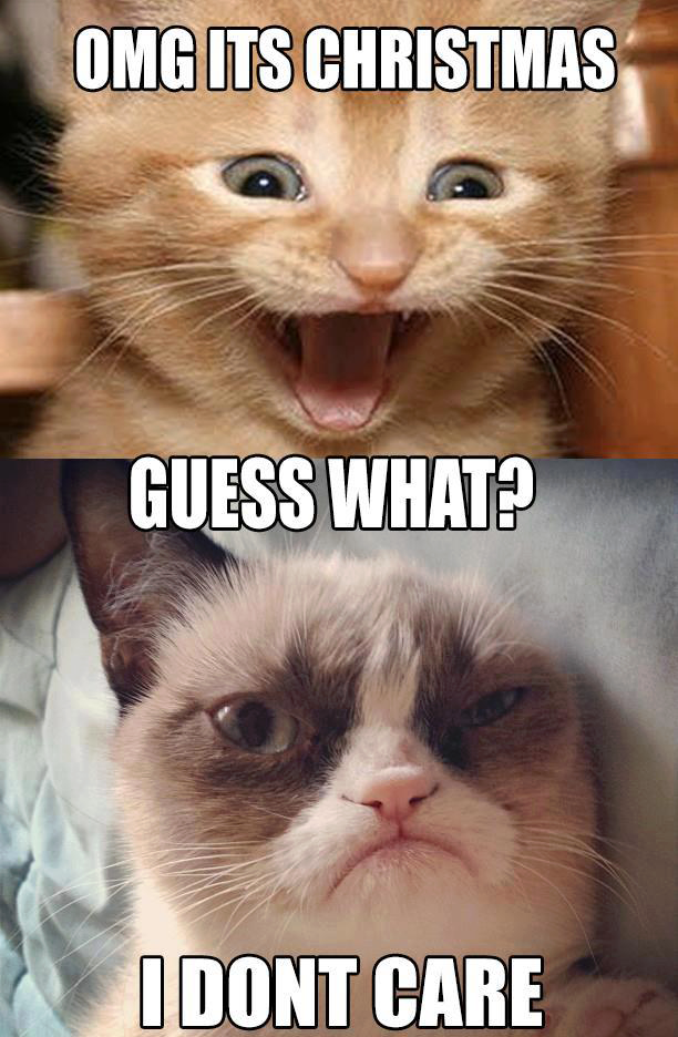 Grumpy Cat Titanic Far Is Fine