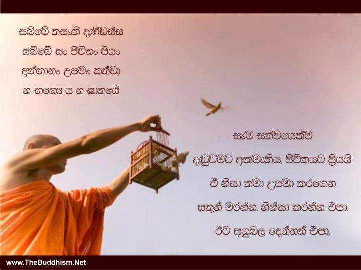 Sinhala Quotes About Buddhism QuotesGram