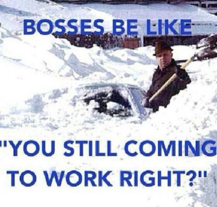 Snow Day Funny Quotes QuotesGram