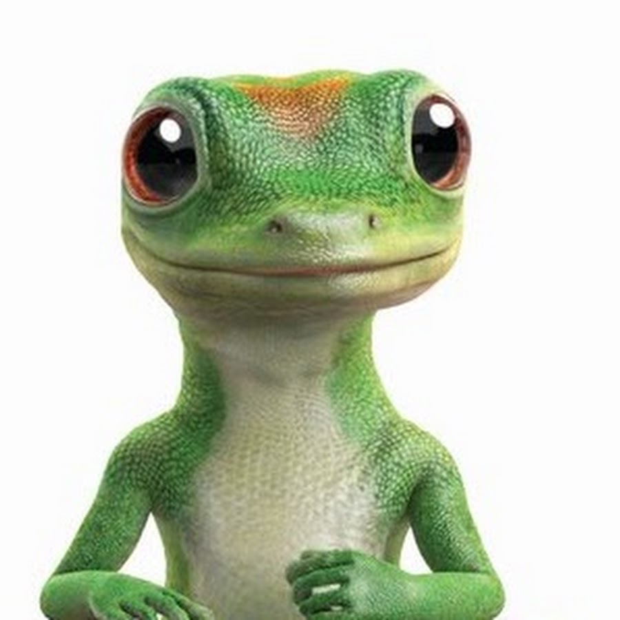 Geico Lizard Quotes QuotesGram