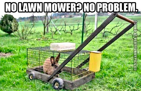 Funny Lawn Mowing Quotes QuotesGram