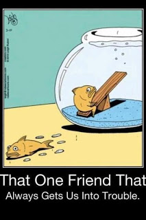 Funny Quotes About Troubles. QuotesGram