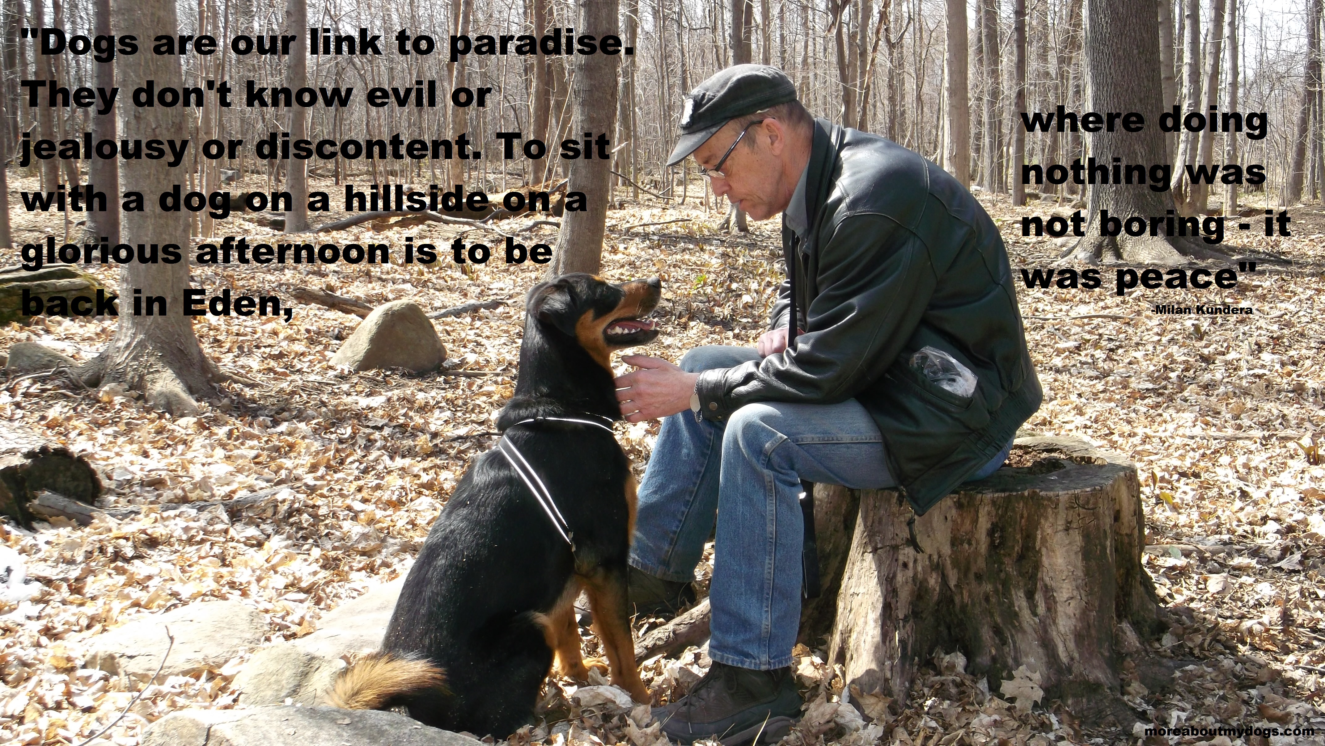 Old Dog Quotes QuotesGram