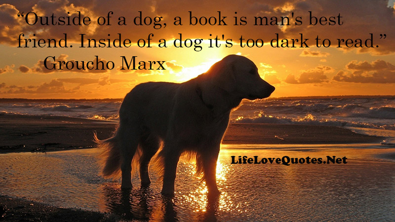 Best Dog Quotes Ever QuotesGram best-dog-quotes-ever-quotesgram