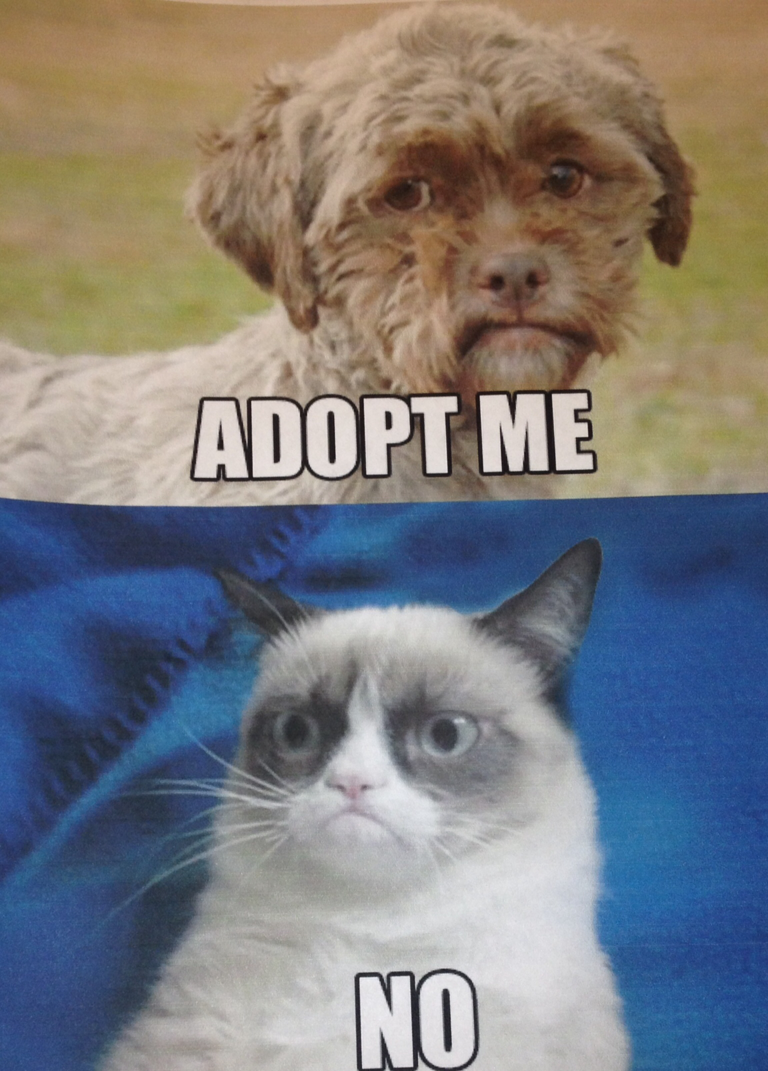 Pet Adoption Quotes QuotesGram