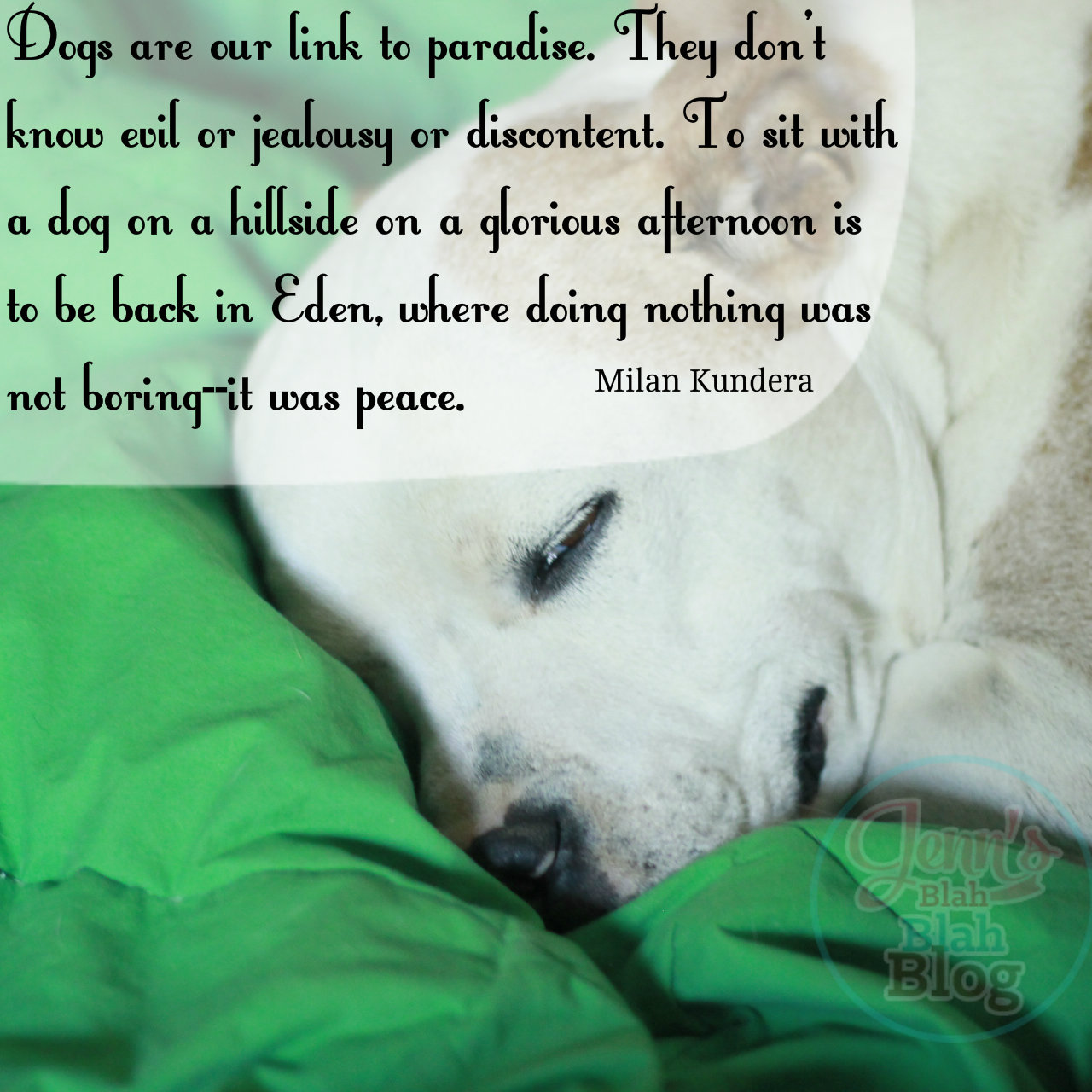 I Love My Dog Quotes QuotesGram I Love My Dog Quotes QuotesGram