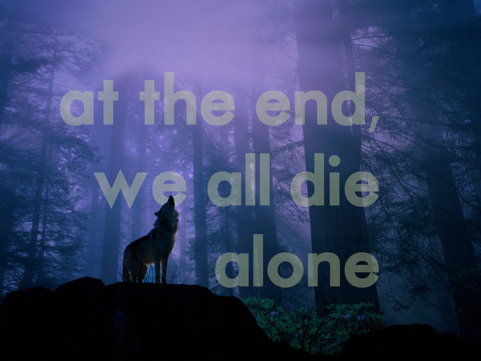 Anime Wolf Quotes. QuotesGram