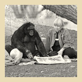 Sue Savage-Rumbaugh Quotes. QuotesGram