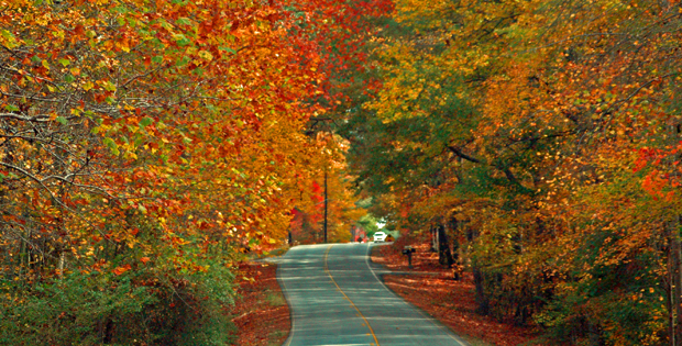 Nashville Auto Insurance Quotes. QuotesGram