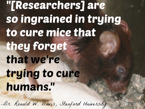 Quotes About Animal Testing QuotesGram quotes-about-animal-testing-quotesgram
