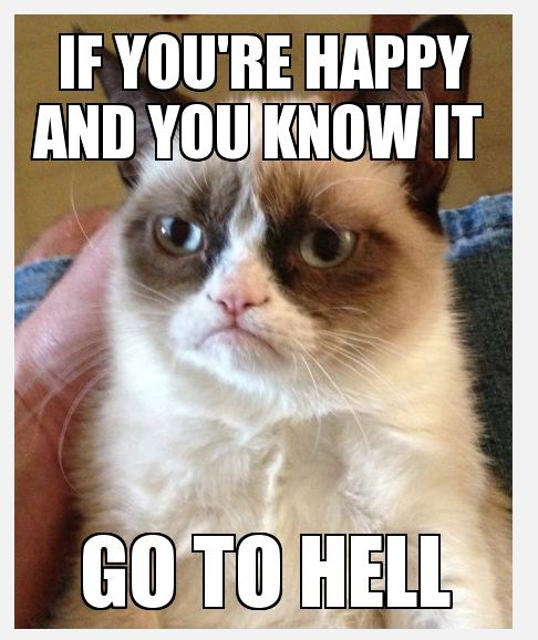 Grumpy Cat Quotes. QuotesGram