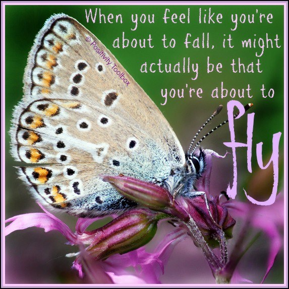 Butterfly Quotes Inspirational QuotesGram Butterfly Quotes Inspirational QuotesGram