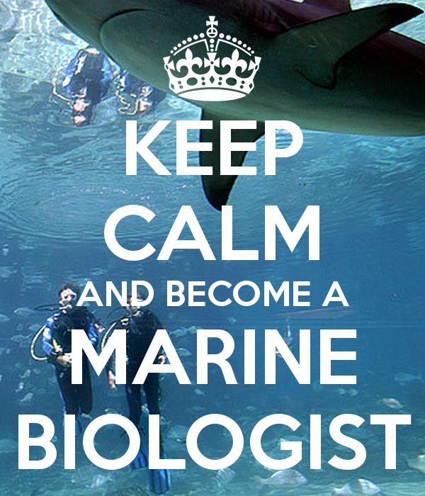 Marine Biologist Quotes QuotesGram