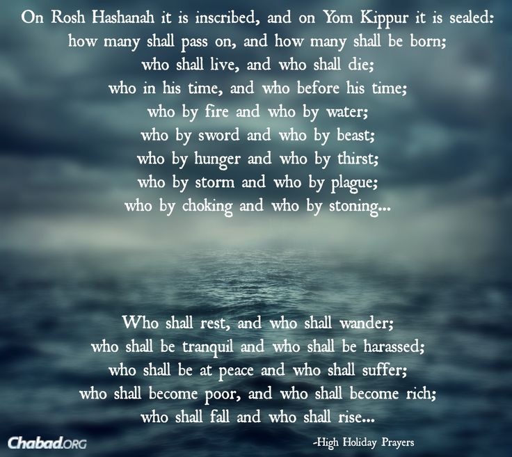 Torah Quotes Inspirational QuotesGram Torah Quotes Inspirational QuotesGram