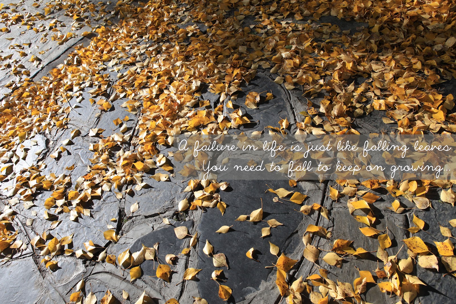 Leaf Life Quotes
