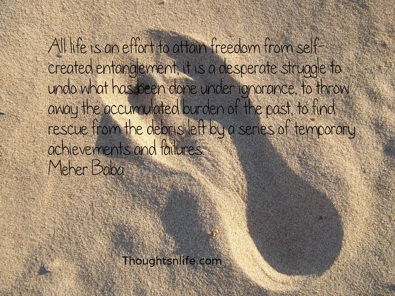 Entangled Quotes. QuotesGram