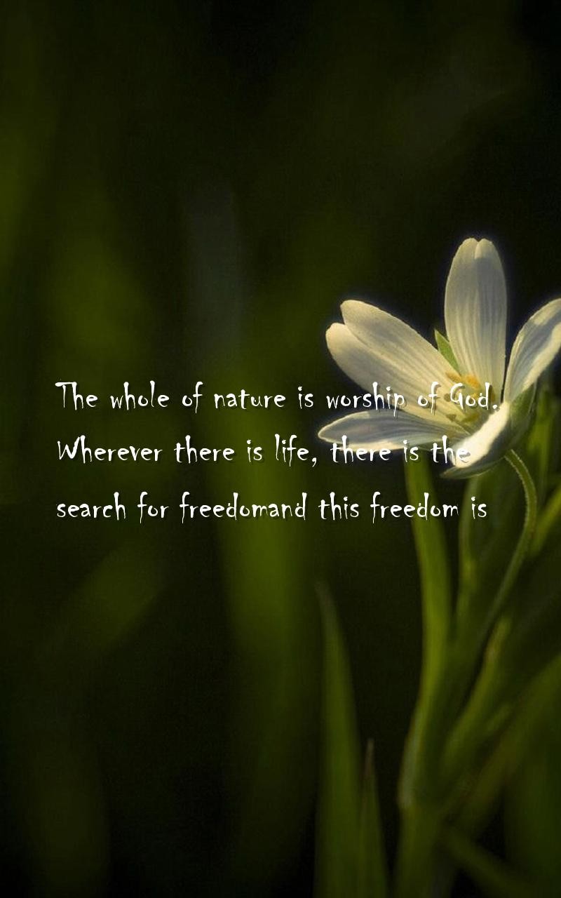 Freedom And God Quotes. QuotesGram