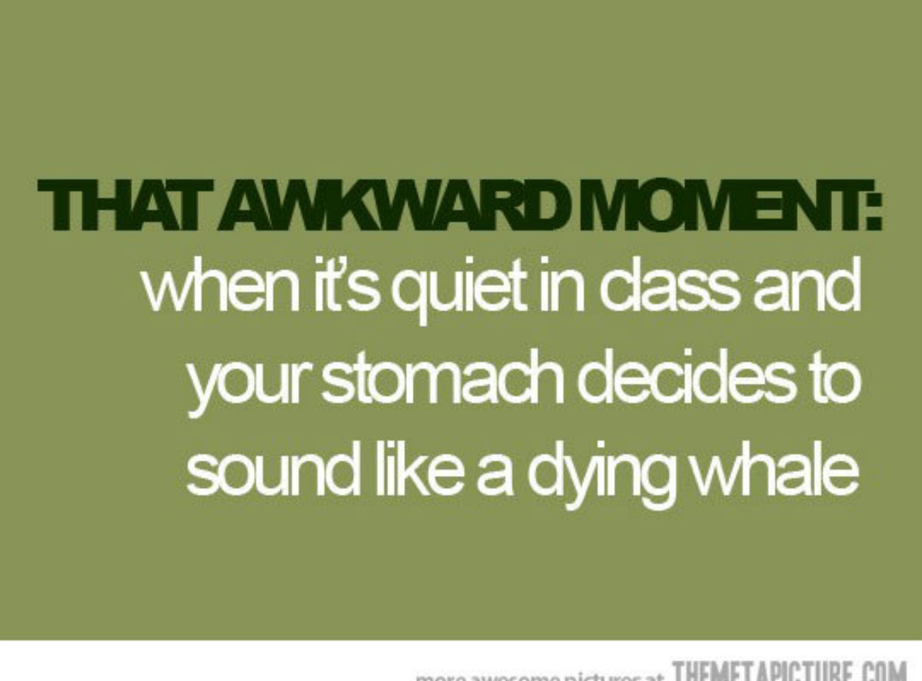 Funny Quotes About Embarrassing Moments QuotesGram Funny Quotes About Embarrassing Moments QuotesGram