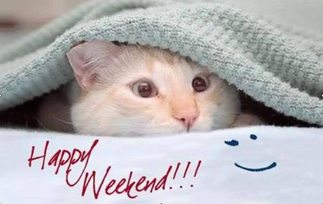 Happy Weekend Dog Quotes. QuotesGram Happy Weekend Dog Quotes. QuotesGram