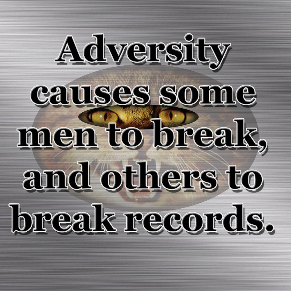 Adversity Makes You Stronger Quotes. QuotesGram Adversity Makes You Stronger Quotes. QuotesGram
