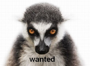 Lemur Funny Quotes. QuotesGram